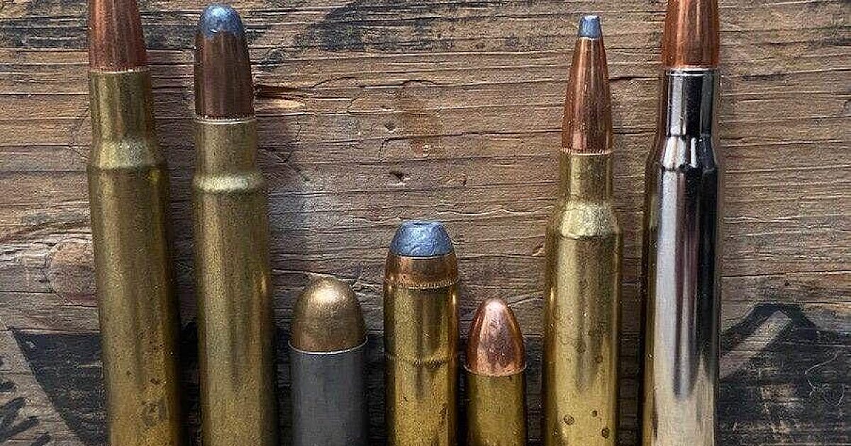 The Basics of Bullet Design and… | Shooting Sports Retailer